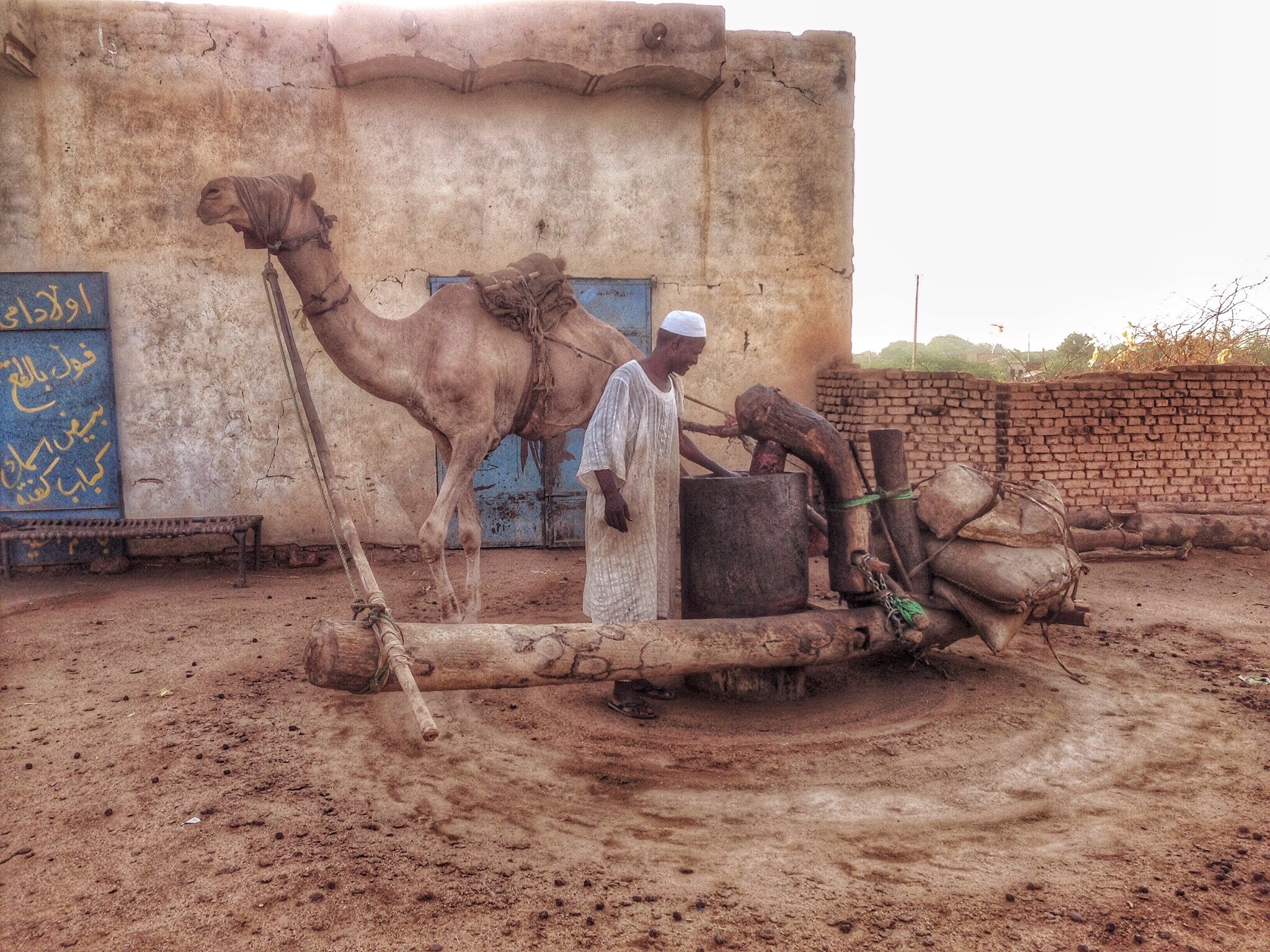 Proverbs with Muna Zaki – Women's literacy in Sudan