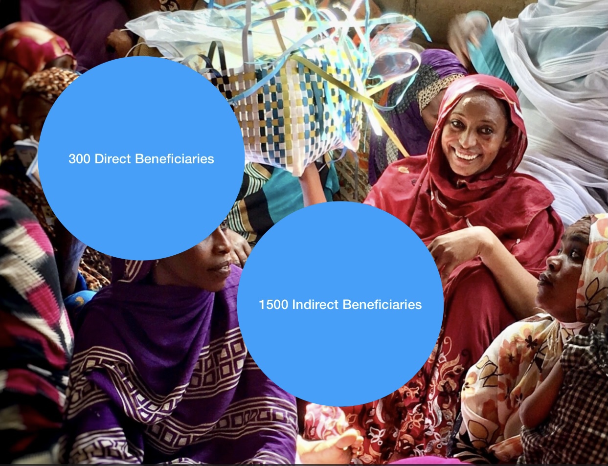 Building Resilience – Women's literacy in Sudan