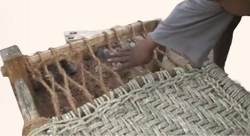 The `Angareeb – Women's literacy in Sudan