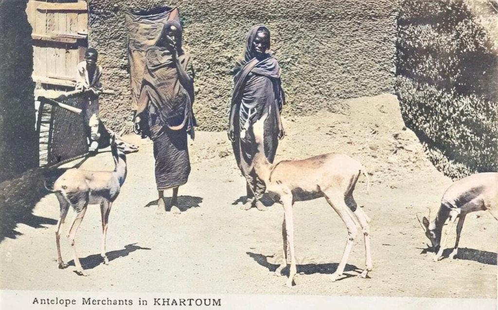 The Enduring Appeal of the Sudanese Toub – Women's literacy in Sudan